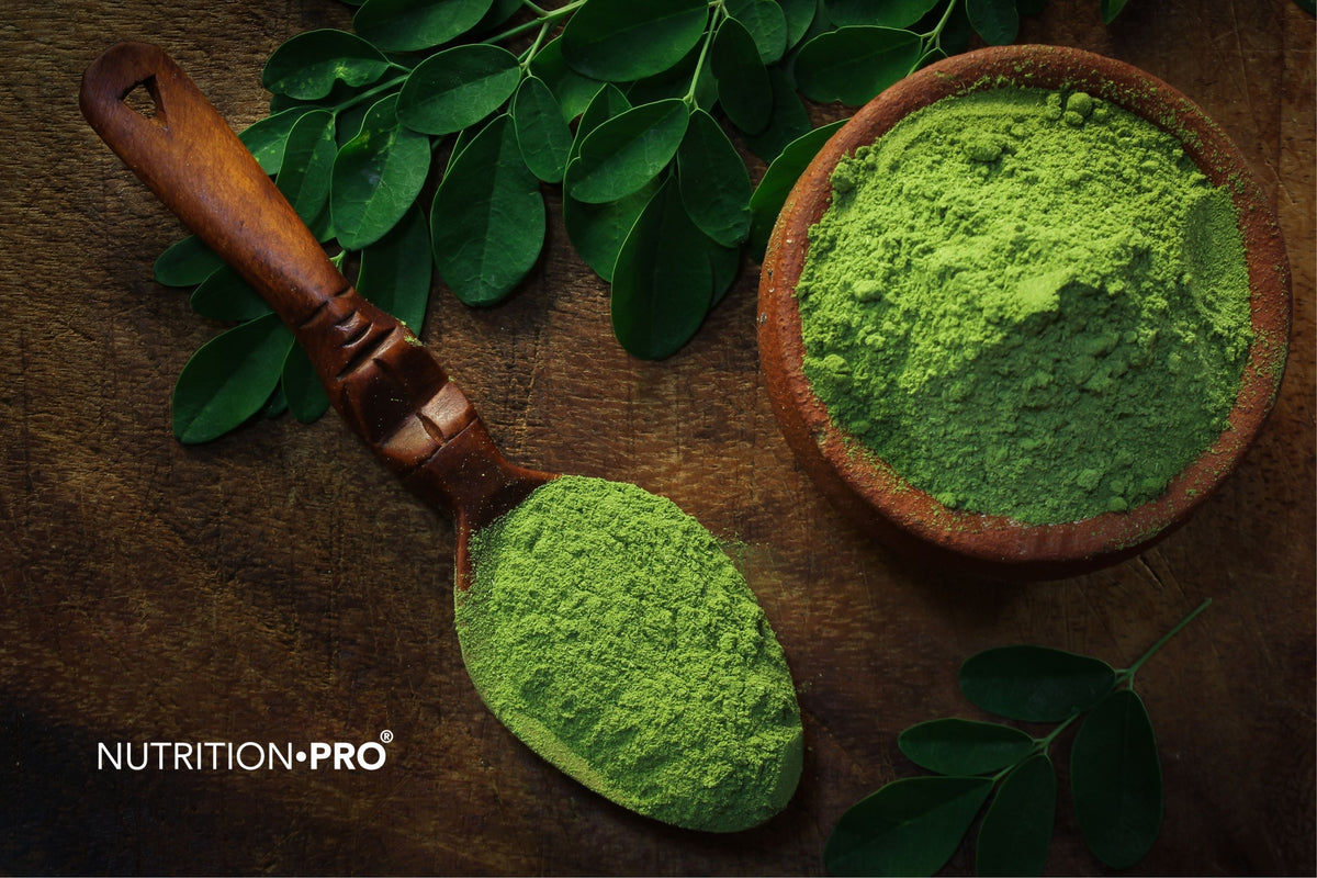 Comment utiliser le moringa : posologie, durée et conseils