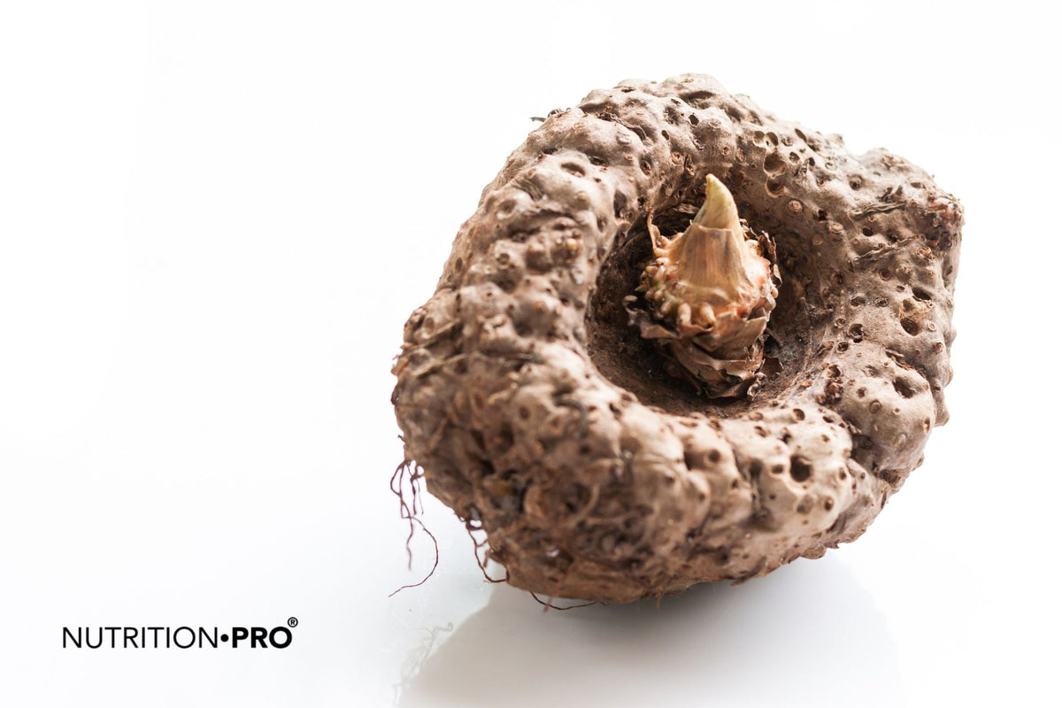 Konjac : bienfaits, dosage et effets secondaires